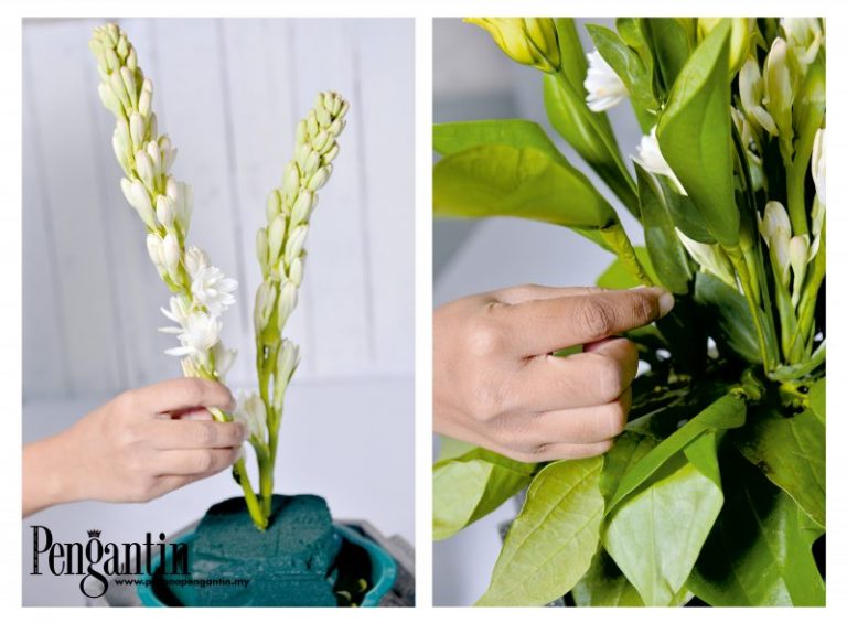 (DIY) Gubah Sirih Junjung Anda Menjadi Eksklusif Dengan Cara Mudah Ini ...
