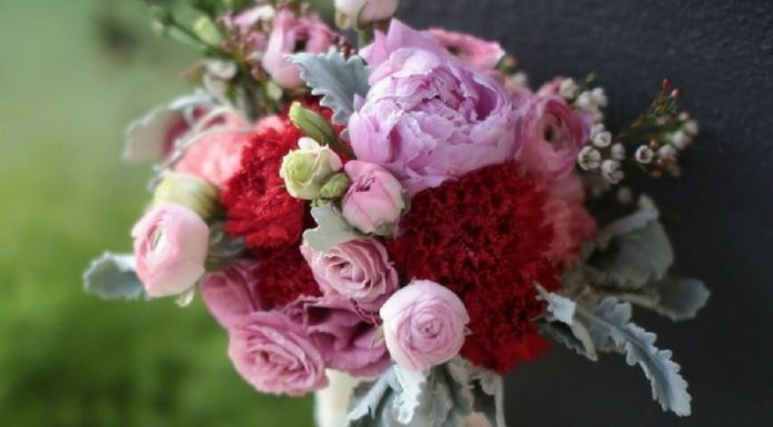 Hidup Jadi Senang Dan Kaya, Bila Amalkan Doa Nabi Sulaiman Ini - Pesona ...