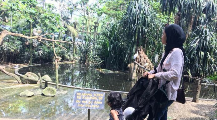 Anak Bawah Umur Jangan Letak Sebagai Penama Penerima Hibah Polisi ...