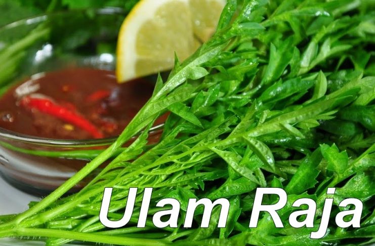 Bakal Pengantin, 6 Bulan Amal Ulam Sebelum Majlis, Lihat Sendiri ...