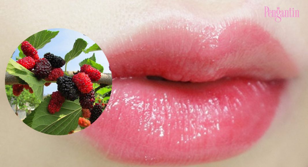Mulberi Boleh Dijadikan Sebagai Gincu Dan Pemerah Bibir